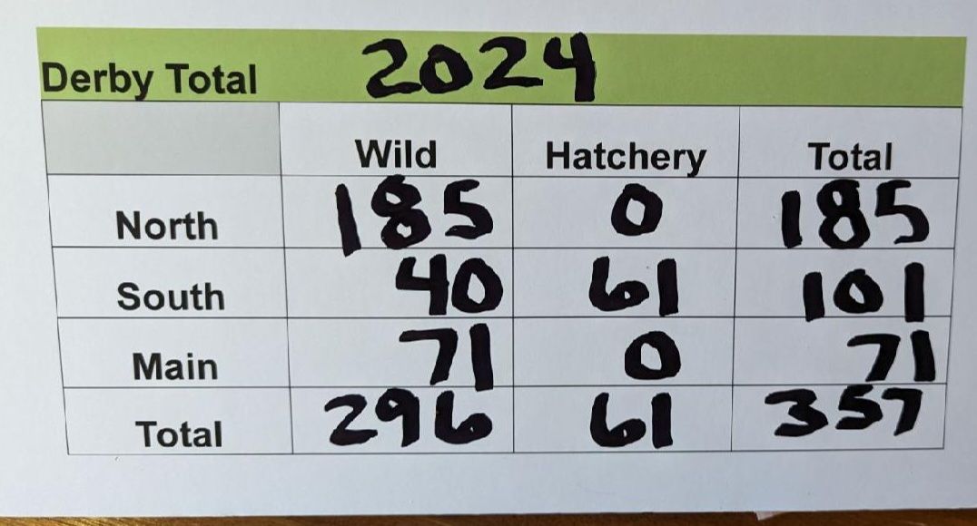 2024 Derby Fish Numbers